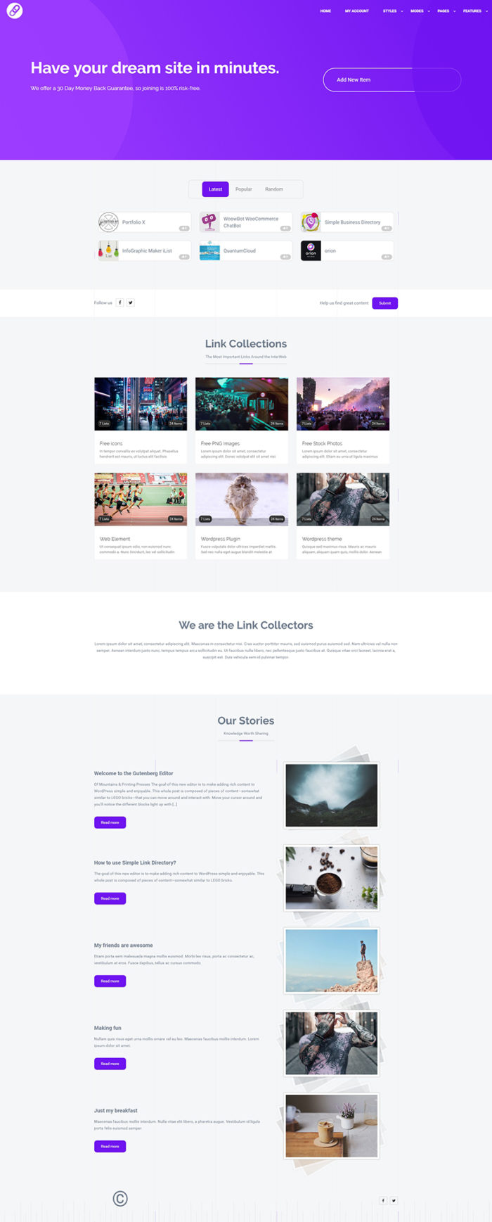 Simple Link Directory Theme - WordPress by QuantumCloud
